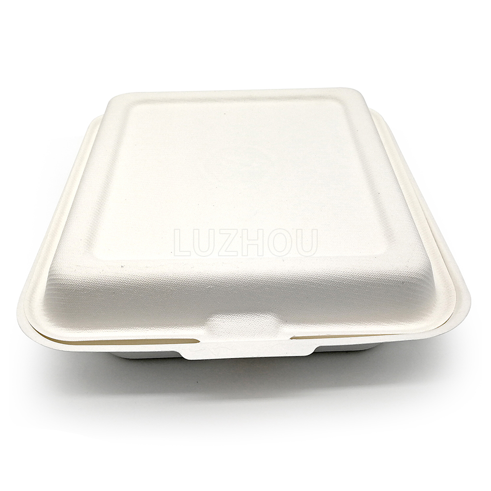 Biodegradable Fast Food Boxes White | Luzhou Pack