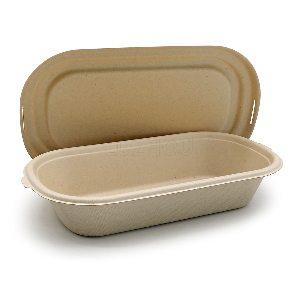 Disposable Salad Boxes Delivery Packaging | Luzhou Pack