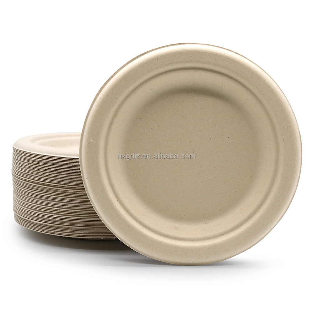 Biodegradable Disposable Plates Bulk | Luzhou Pack