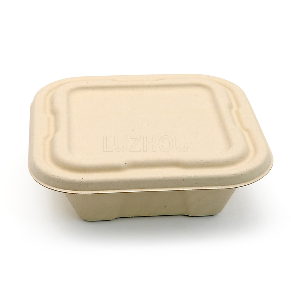Paper Take Out Food Containers 500 ml | Luzhou Pack