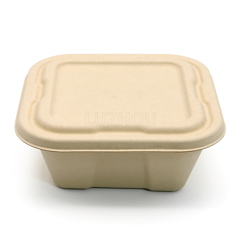 Takeaway Paper Bento Packaging Box Disposable | Luzhou Pack