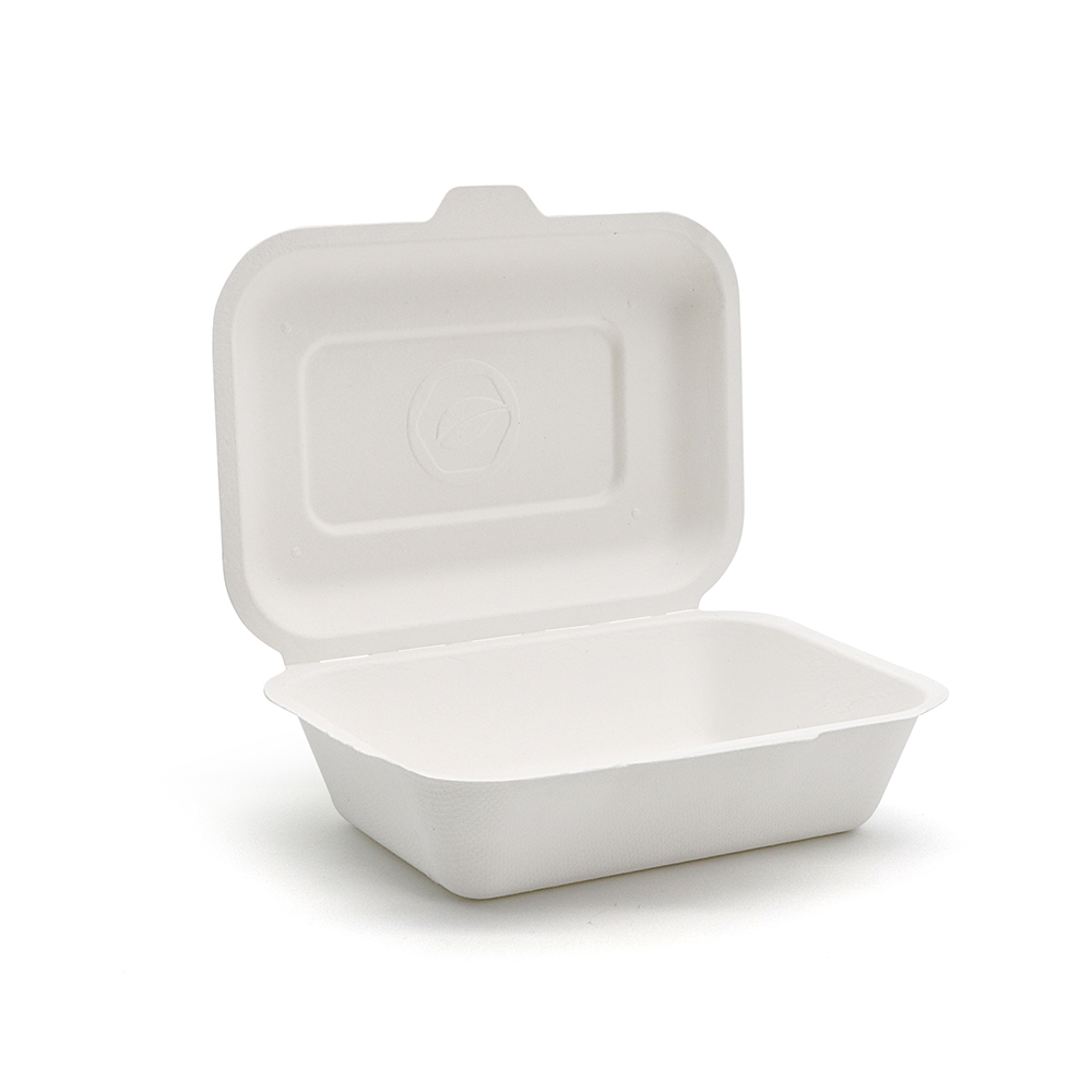 Biodegradable Mini Chinese Takeaway Boxes | Luzhou Pack