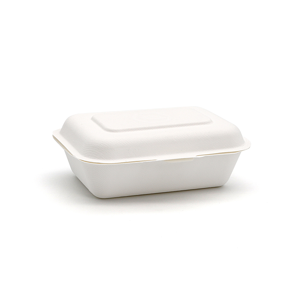 Biodegradable Mini Chinese Takeaway Boxes | Luzhou Pack
