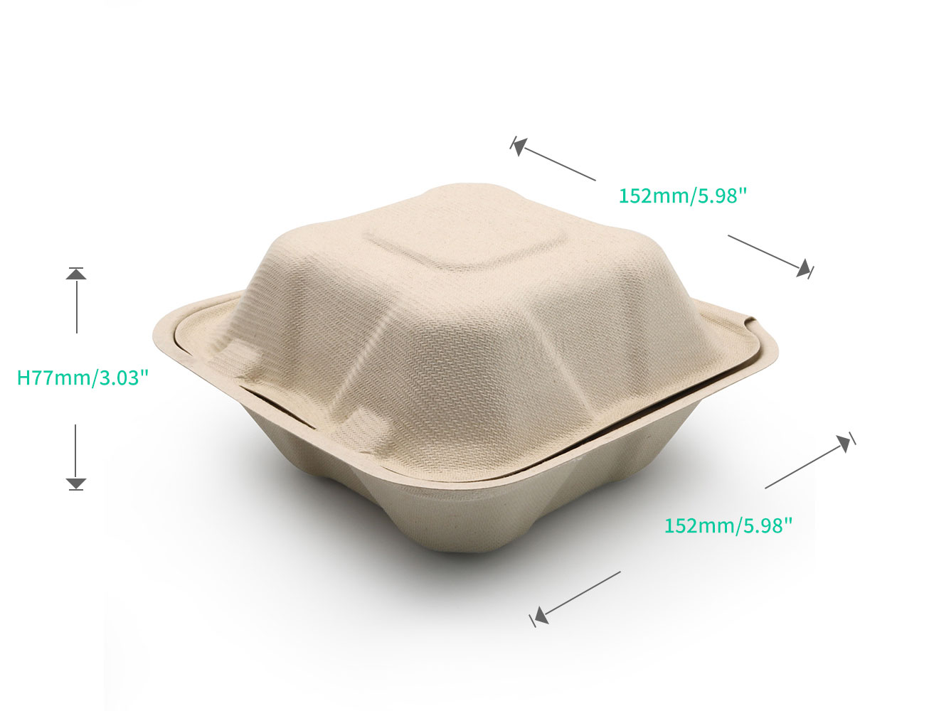 Bagasse Burger Boxes Packaging Takeaway | Luzhou Pack
