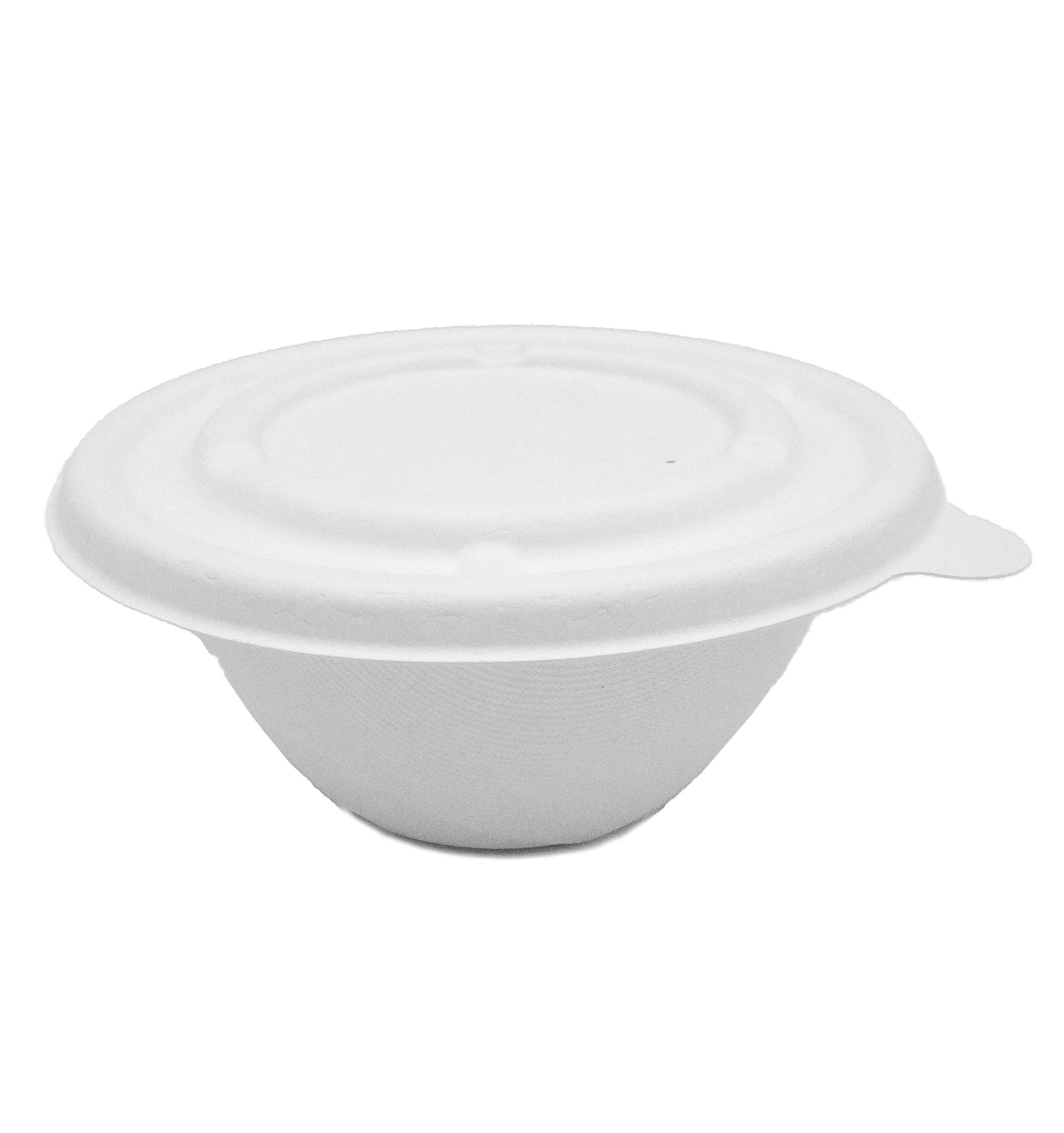 Compostable Takeaway Fiber Bowls for Noodle Packaging | Luzhou Pack