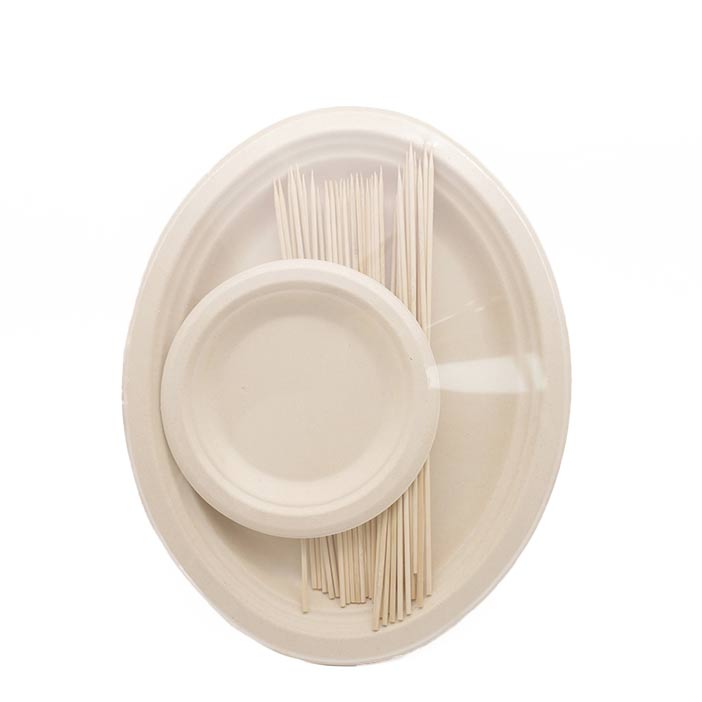 Eco Paper Tableware Sets for Food Truck | Luzhou Pack