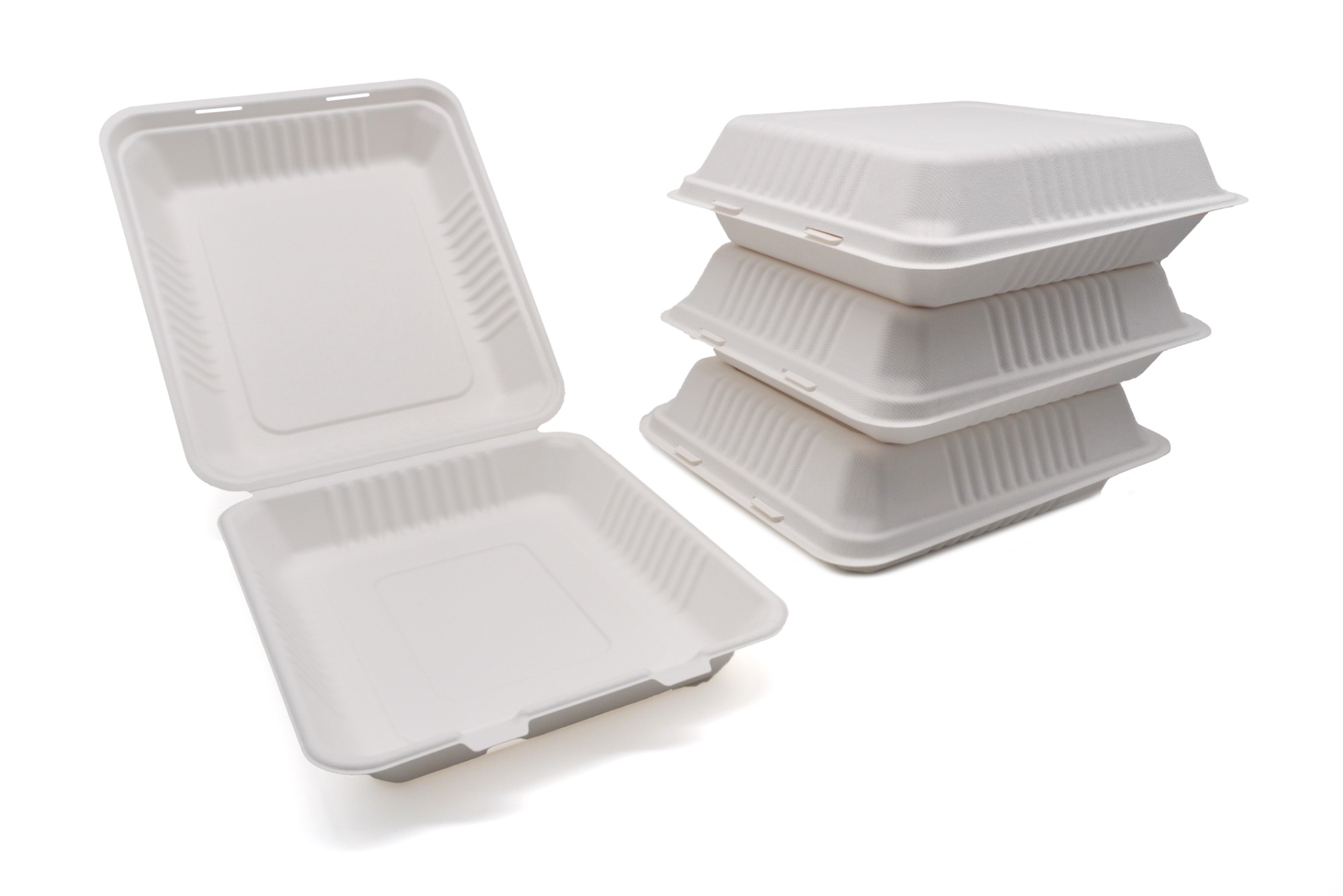 Biodegradable Clamshell Containers | Luzhou Pack