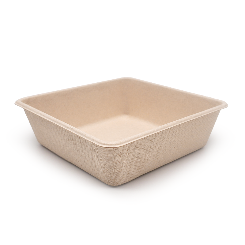 Eco Disposable To Go Tray for Food | Luzhou Pack