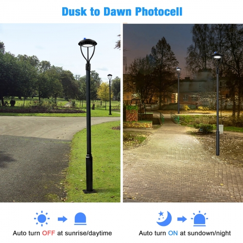LED Pole Mounted Light | 5 Years Warranty | US&CA Free Shipping