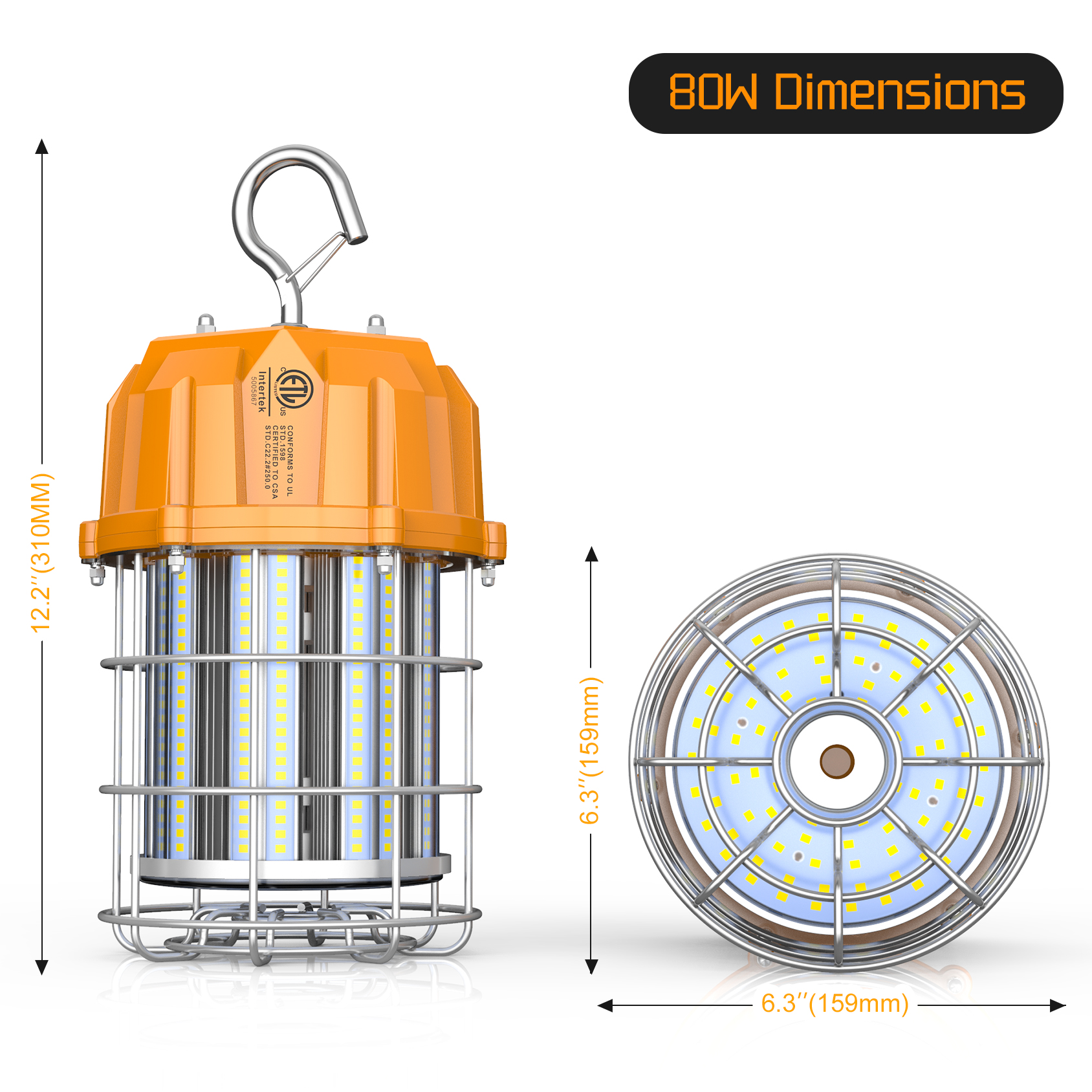 Temporary Work Light LED