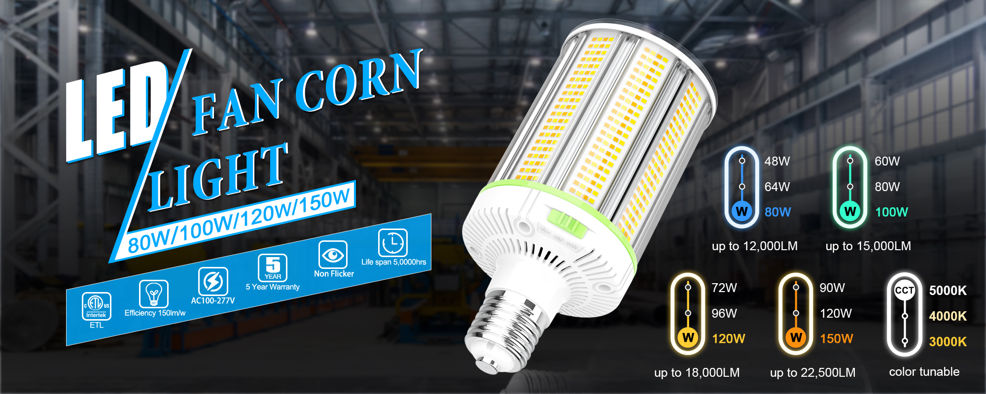 Ngtlight LED Light Manufacturer