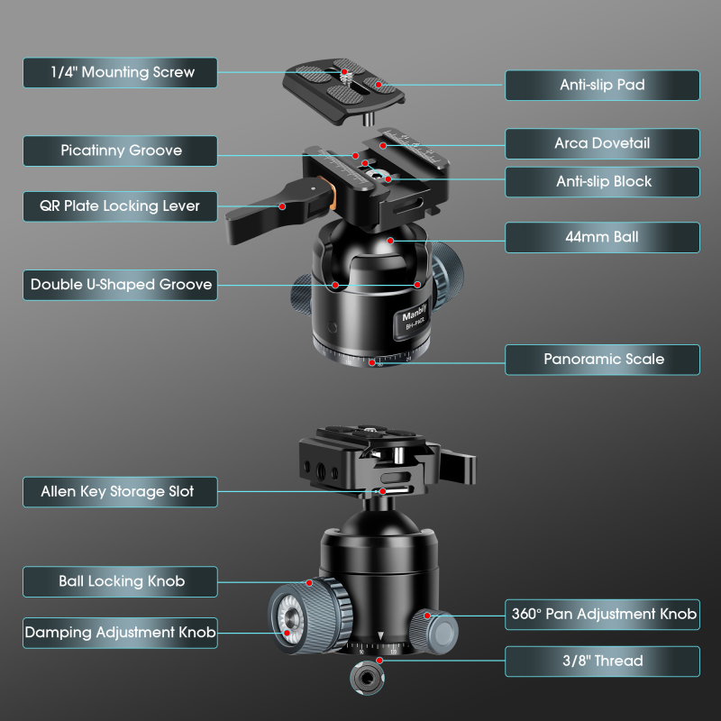 Manbily BH-PA02 360° Ball Head for Shooting & Camera with Picatinny to ...