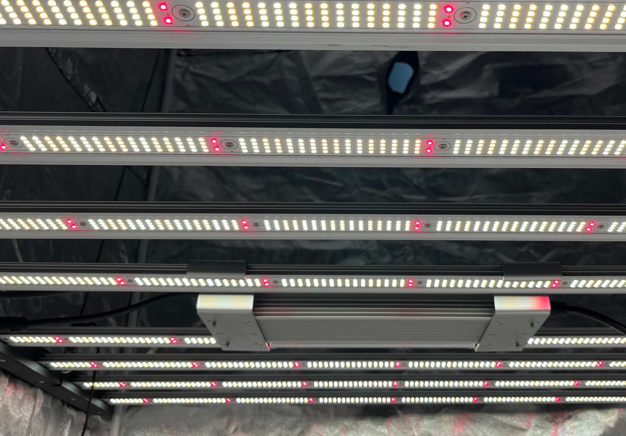How to choose and use LED plant lights well?