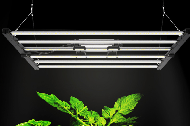 LED grow light,indoor plant light,cannabis Grow light-SincoreLighting