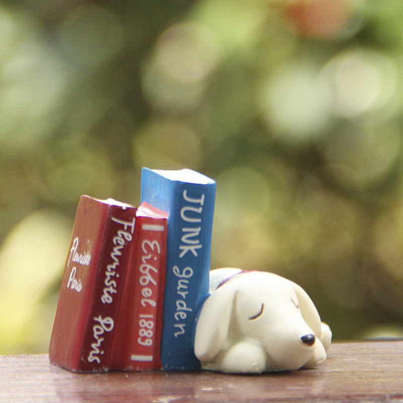 Book Dog Model Toys Gifts