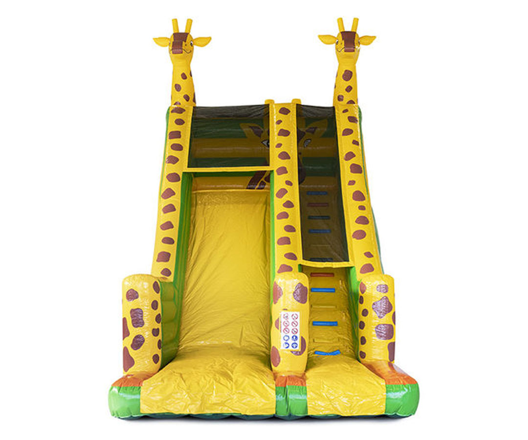 Giraffe Slide