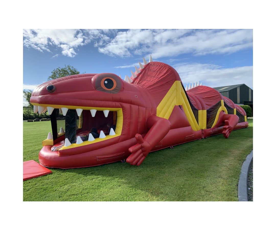 Lizard Obstacle Course, OB-2106204