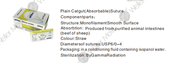 Plain Catgut(Absorbable)Suture,Surgical suture
