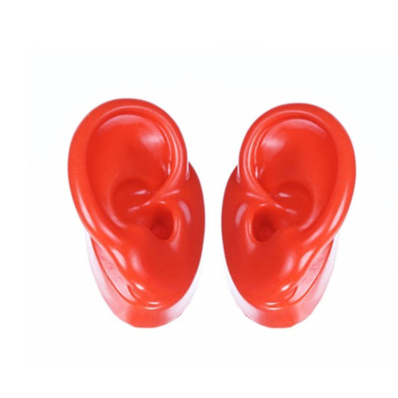 Silicone Ear Model-Red,Ear model dispaly