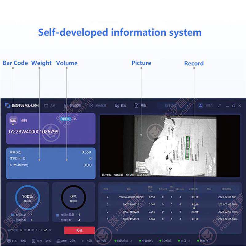 Dws Sorting System Weighing Scanning Machine