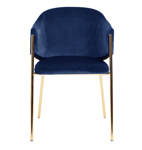 High Back Velvet Dining Chair, Dining room furniture, CE furniture