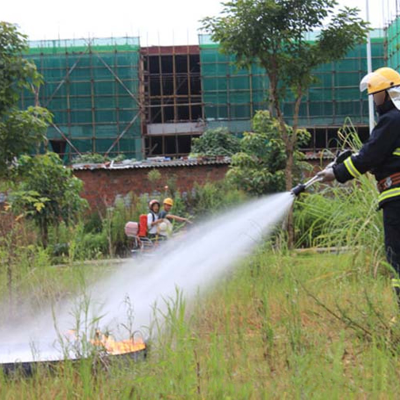 Mobile high pressure water mist fire extinguishing device