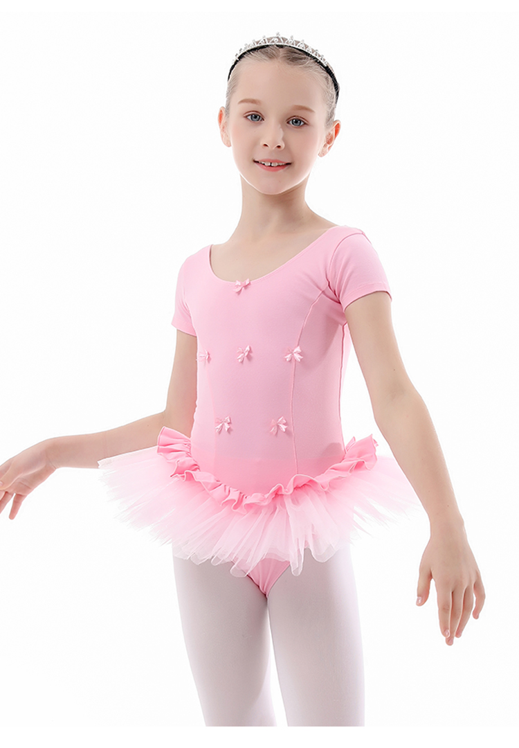 Ballet Leotard and Tutu,pink tutu and leotard