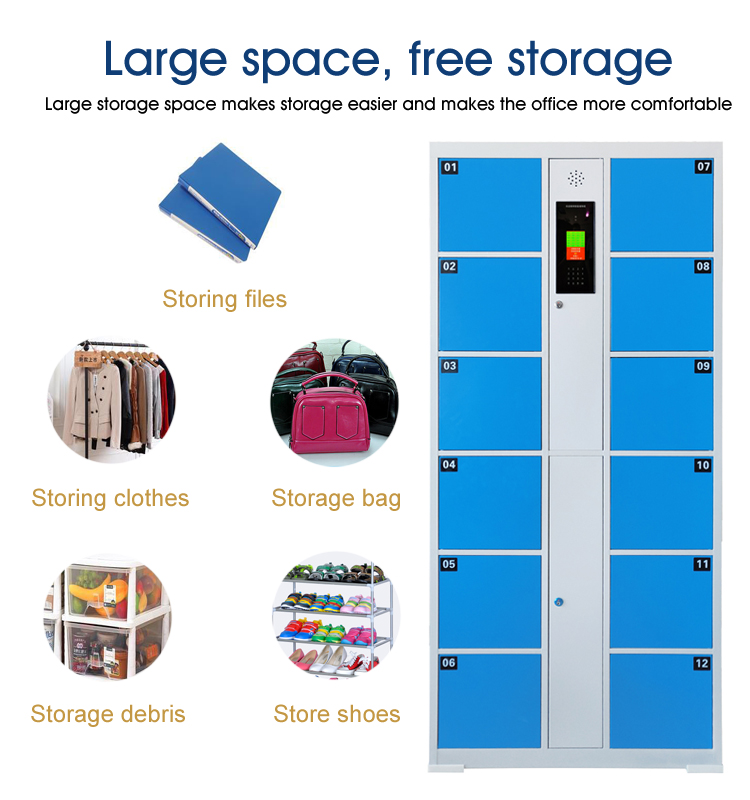 Face Recognition Electronic Locker 12 Doors Office/Station Intelligent ...