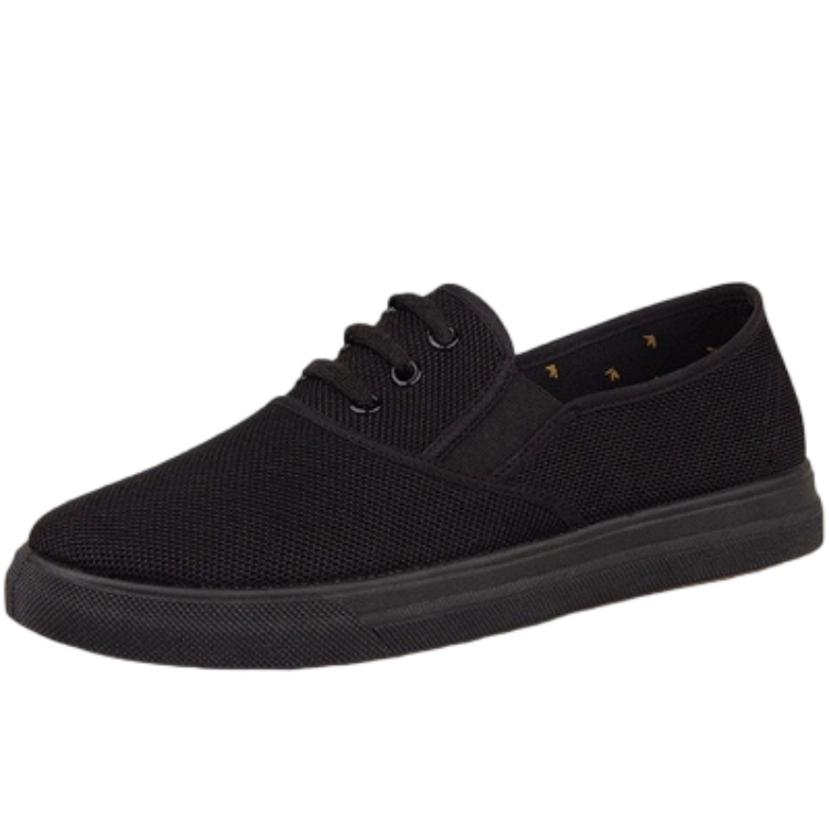 Men's Low-cut Canvas Shoes