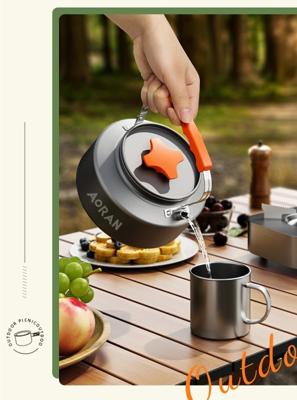 Portable outdoor cooker