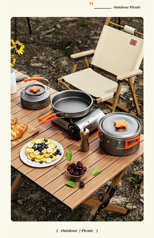 Portable outdoor cooker
