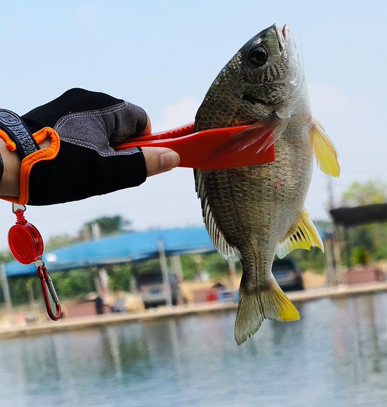 Multifunctional fish forceps