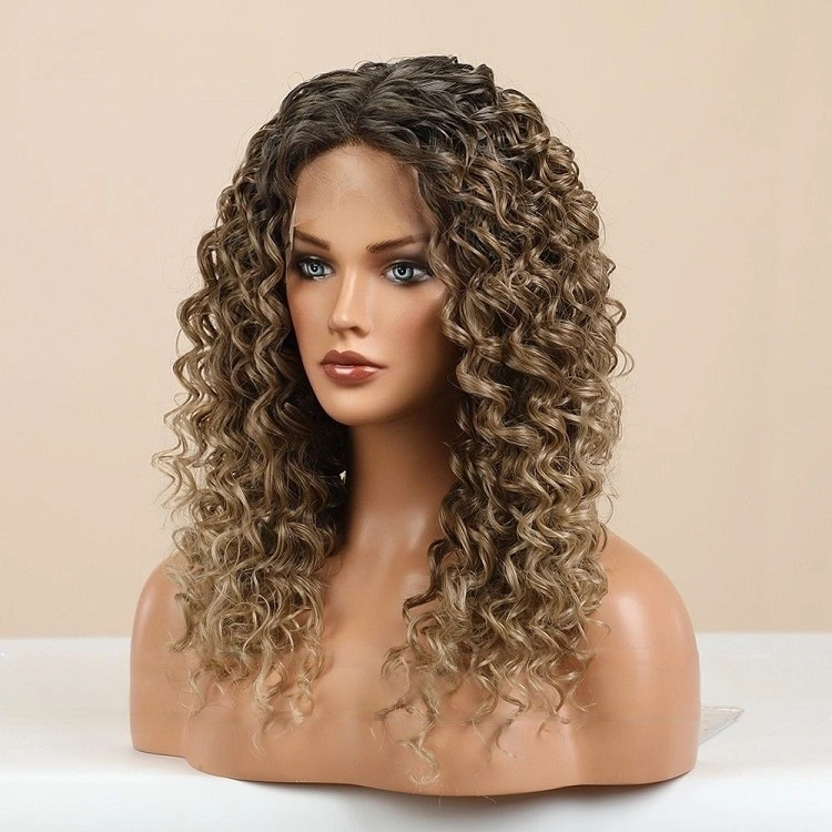 Noodle Curls Ombre Lace Wig