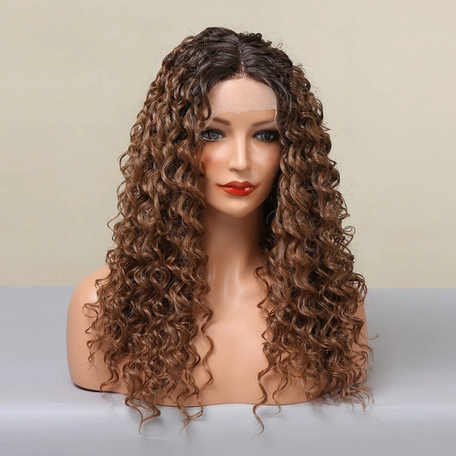 Noodle Curls Ombre Lace Wig