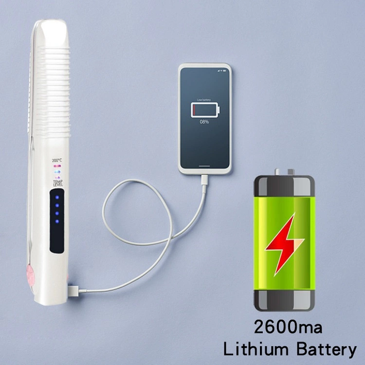 Portable Mini Hair Straightener