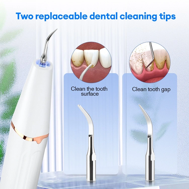 Ultrasonic Dental Cleaning Device