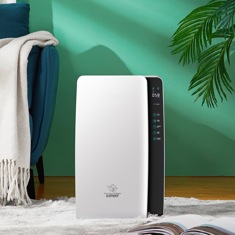 Formaldehyde Air Purifier
