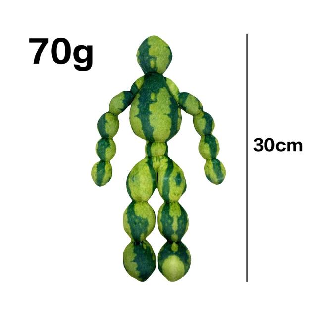 SMG4 watermelon man Plush Toy