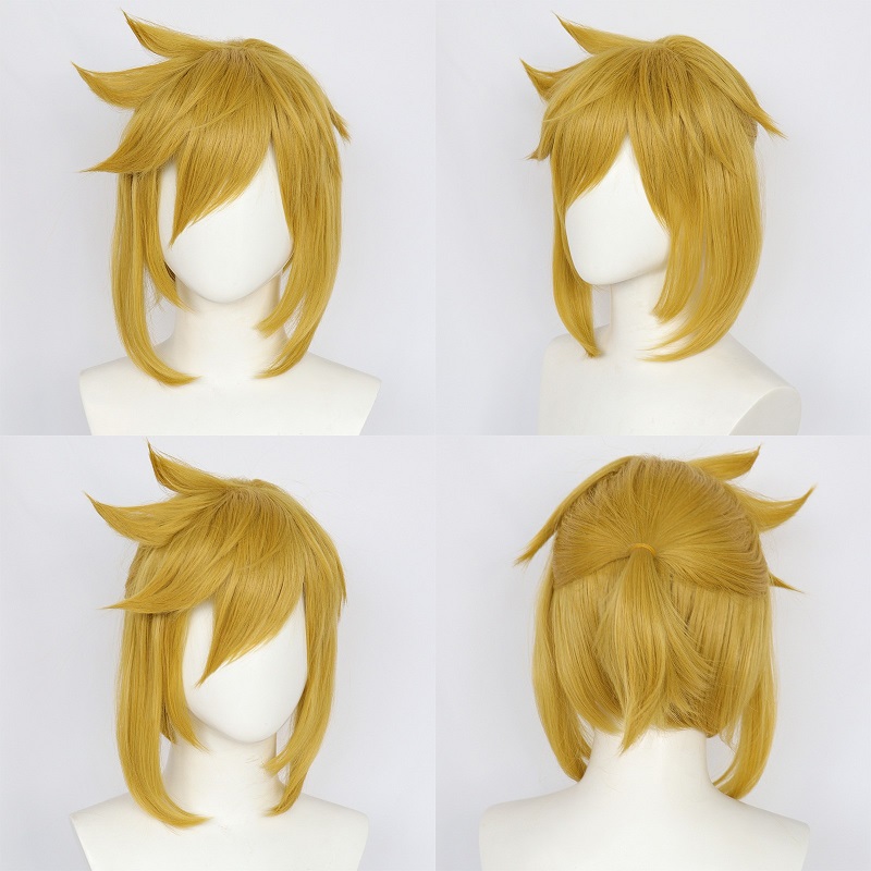 Link Cosplay Wig