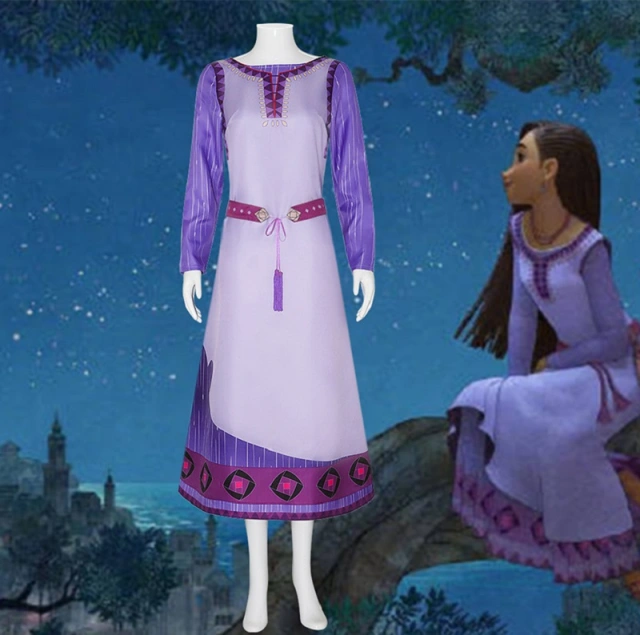 Asha Princess Dress Cosplay Costume