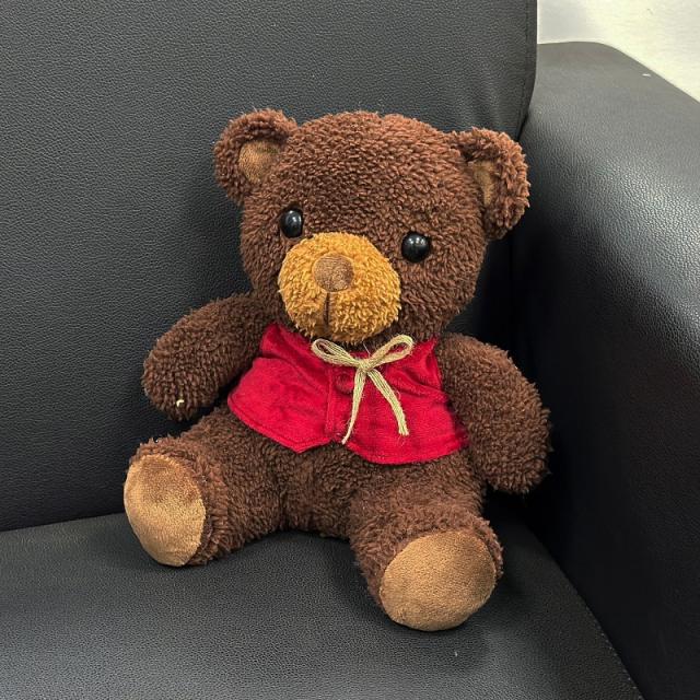 Chauncey Teddy Bear Plush Doll