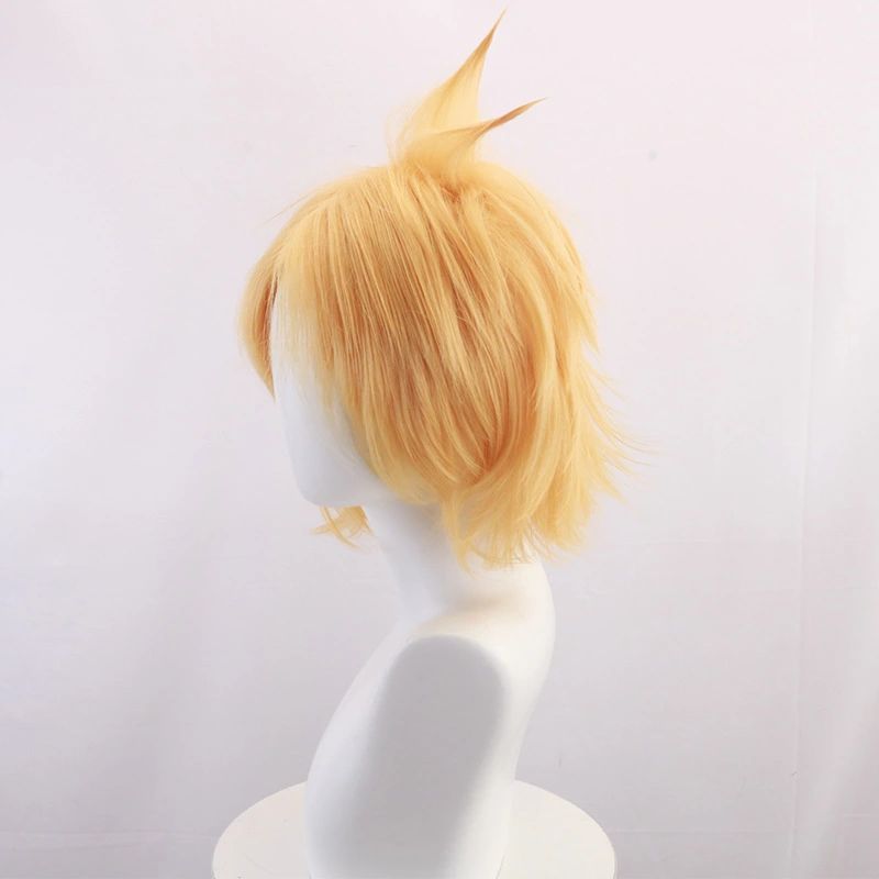 Kaminari Denki Cosplay Wig