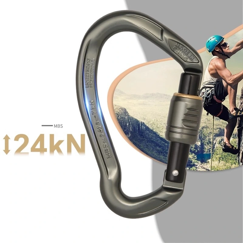 D-shape climbing locking carabiner with pulley
