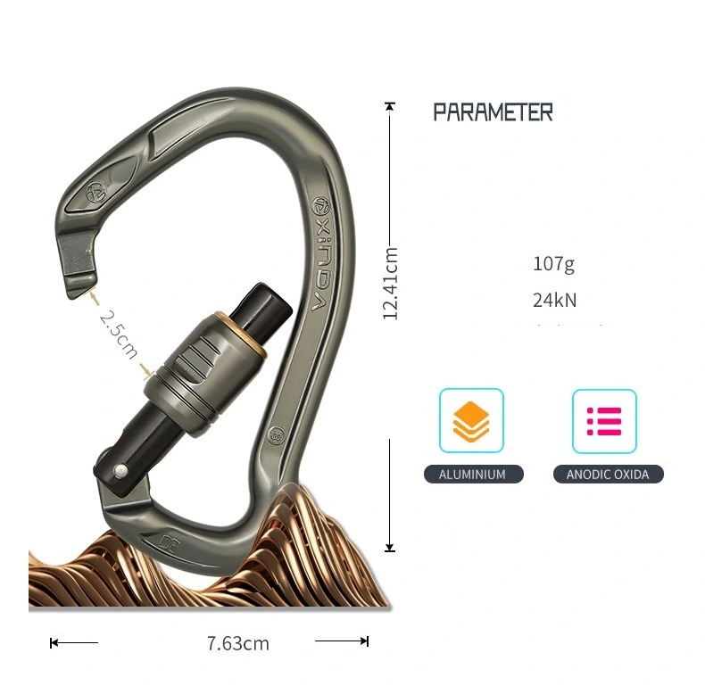 D-shape climbing locking carabiner with pulley