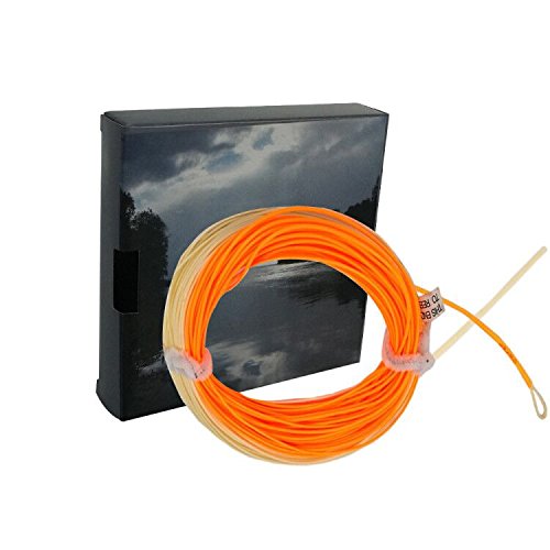 Aventik Fly Line Saltwater Float Fly Fishing Weight Forward Line with ...