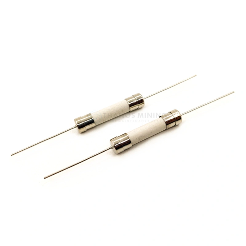 Ceramic fuse with legs 500V 30A