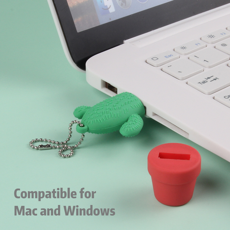 Cactus USB flash drive,USB Flash Drive