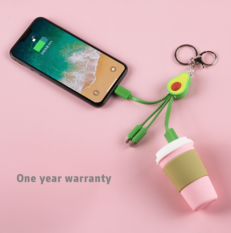 Beanlieve Avocado 3 In 1 Charging Cable and USB Cable