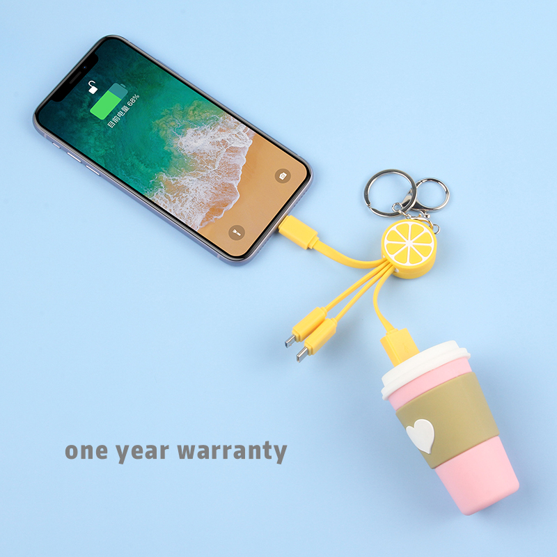 Beanlieve Lemon 3 In 1 Charging Cable and USB Cable