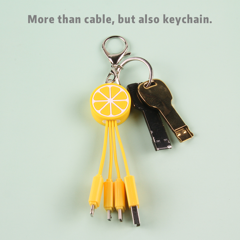 Beanlieve Lemon 3 In 1 Charging Cable and USB Cable